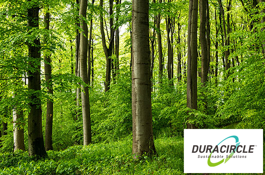 ポリプラスチックス(株) 「DURACON® POM 短繊維セルロース強化グレードの開発」をWEBサイトに公開 | ポリプラスチックスのプレスリリース | 共同通信PRワイヤー