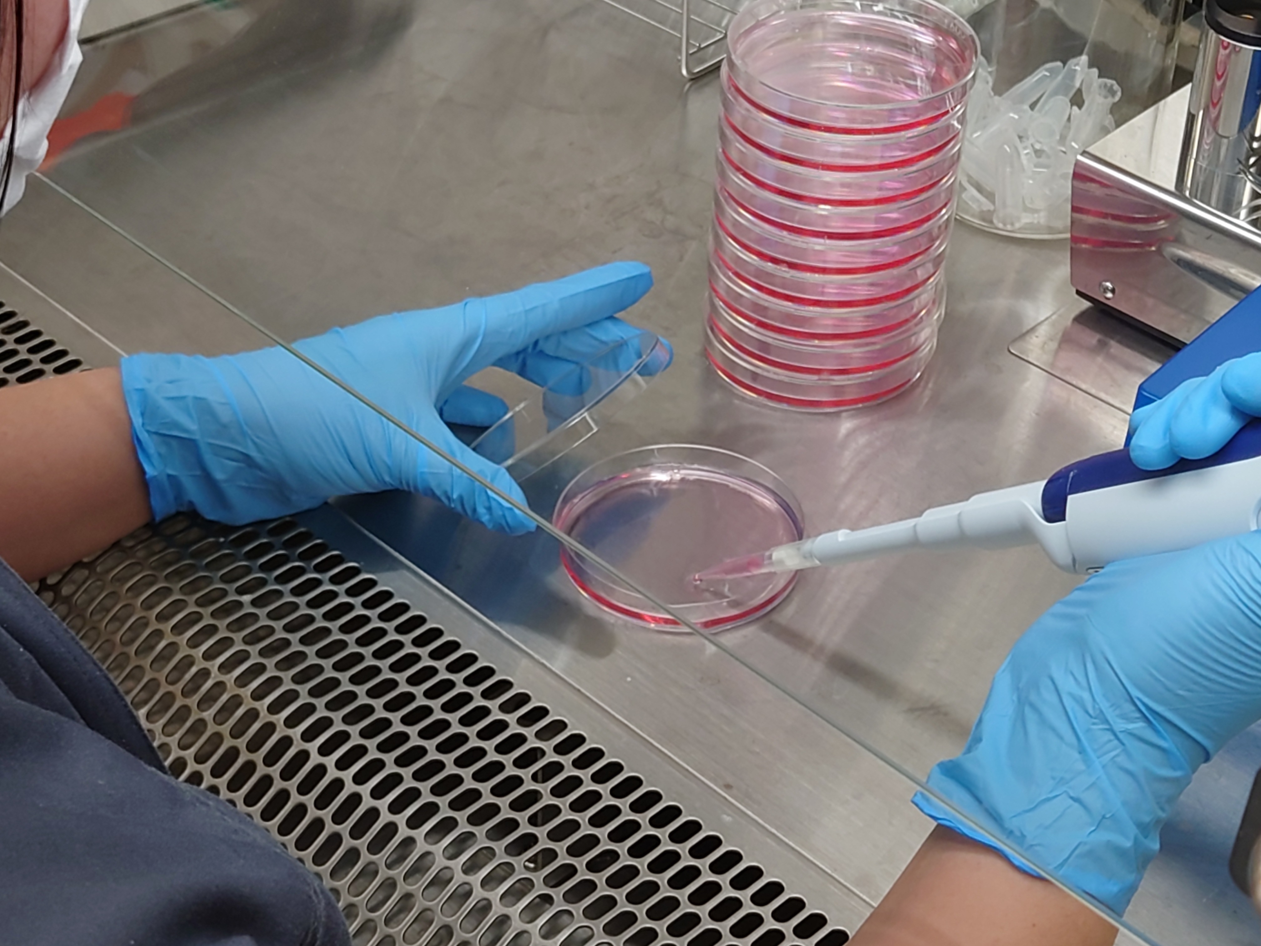 細胞凍結保存液「NAGASE's Cryopreservation Solution-1」を開発｜信濃毎日新聞デジタル 信州・長野県のニュースサイト