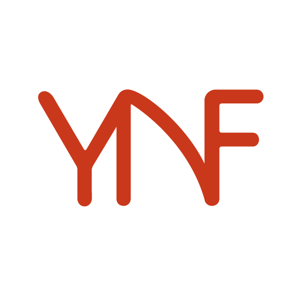 令和6年能登半島地震への支援活動の開始および報告会の開催について | YNFのプレスリリース | 共同通信PRワイヤー